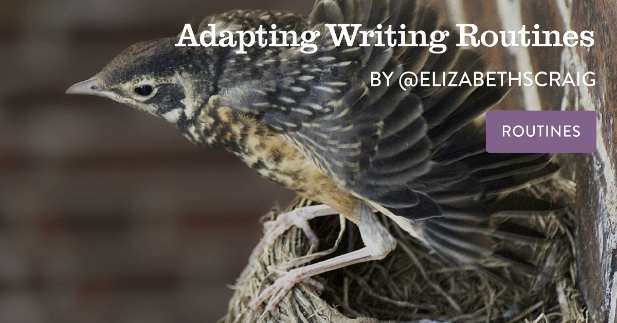 Adapting Writing Routines – Elizabeth Spann Craig